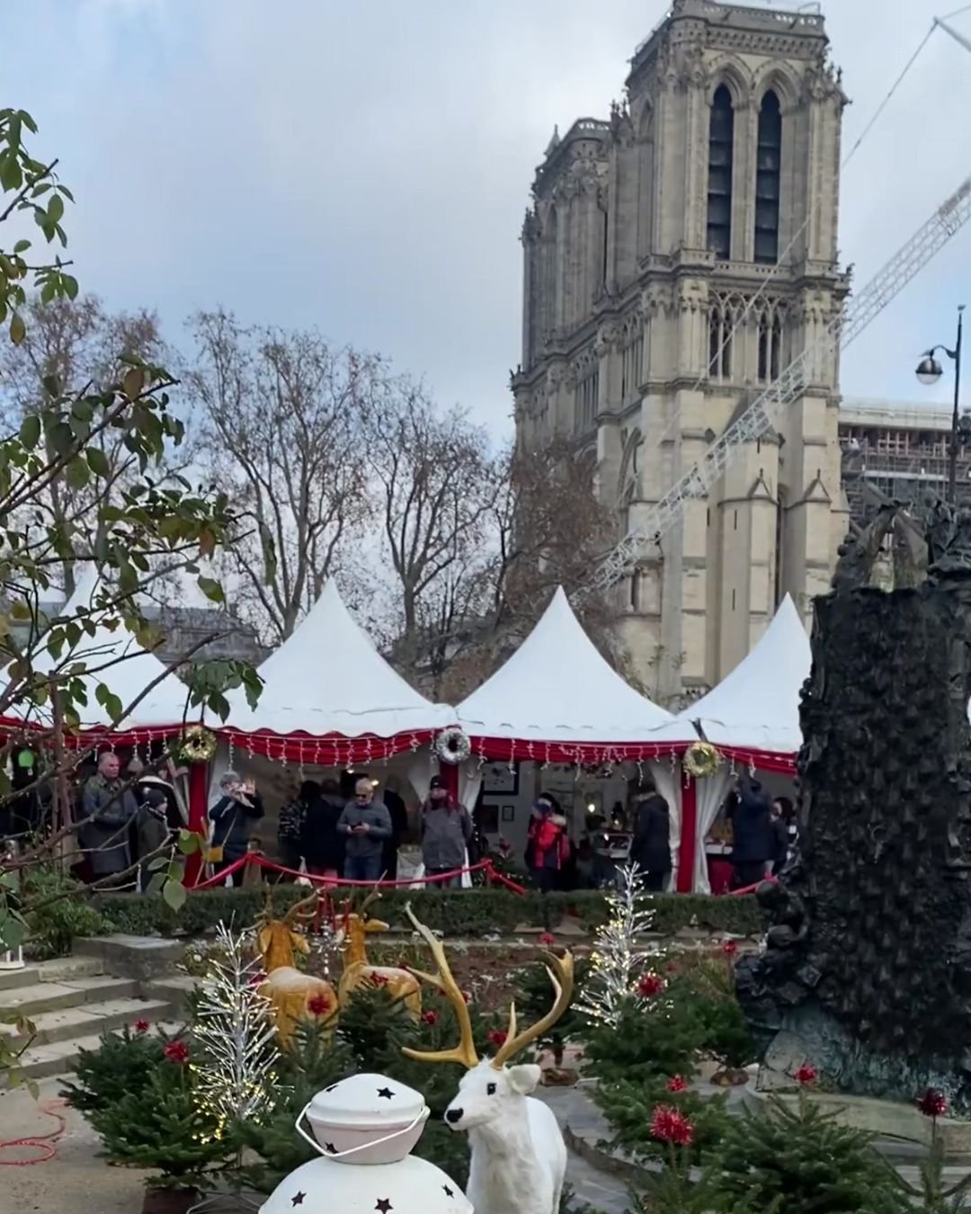 Notre-Dame is Back! Stay Close at New Hotels and Discover the Festive ...